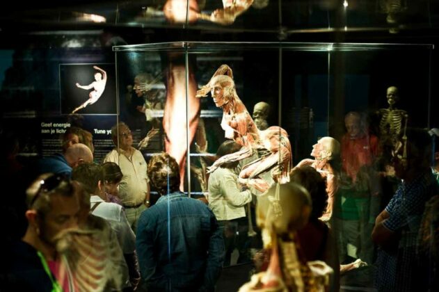 Body Worlds in Amsterdam: Prices, Opening times and Infos