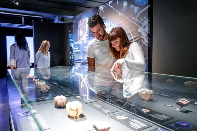 Body Worlds in Amsterdam: Prices, Opening times and Infos