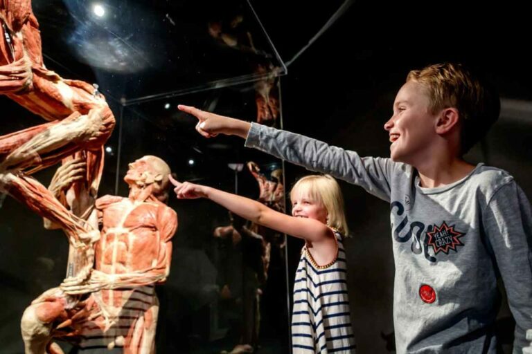 Body Worlds in Amsterdam: Prices, Opening times and Infos